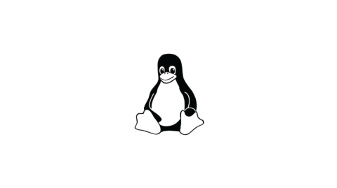 Microsoft SQL Server - SecuHost IT Solutions